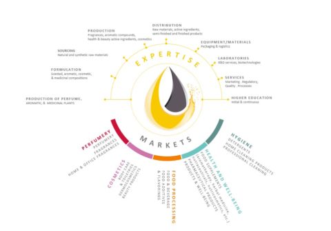 Multi-sector expertise | Grasse Expertise